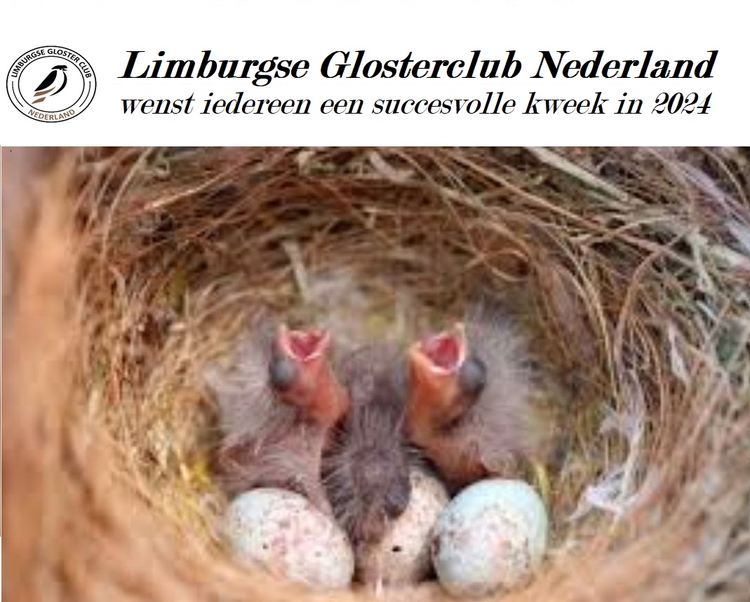 Limburgse Glosterclub - Glostershow Herkenbosch - Home